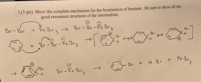 Solved Show the complete mechanism for the bromination of | Chegg.com