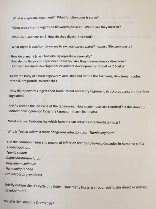 Solved What is a syncytial tegument? What function does is | Chegg.com