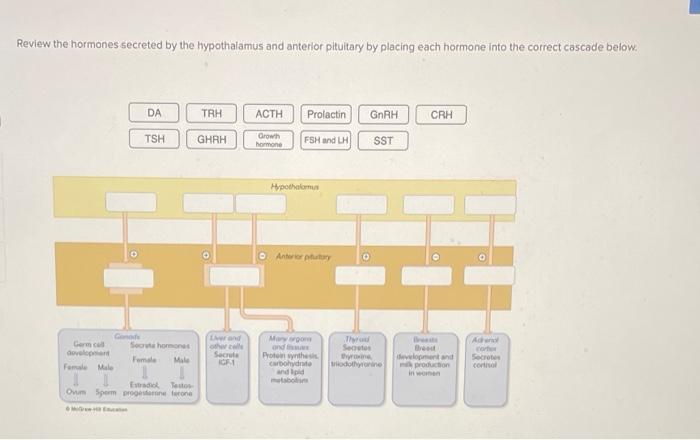 Solved Identify the major endocrine tissues and glands by | Chegg.com