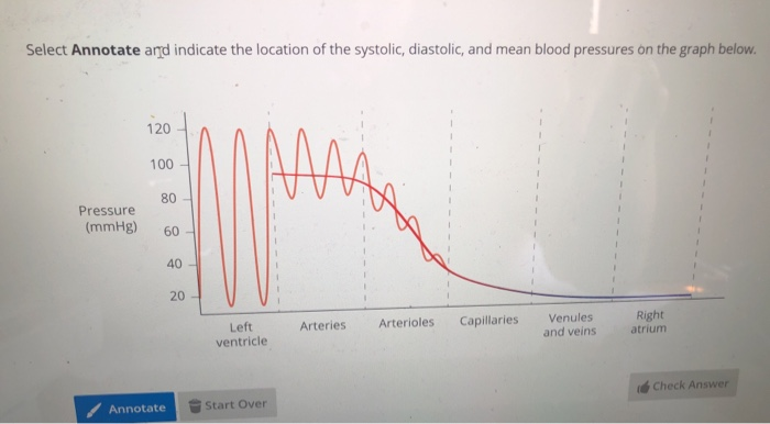 Solved Can someone annotate and locate where the systolic, | Chegg.com