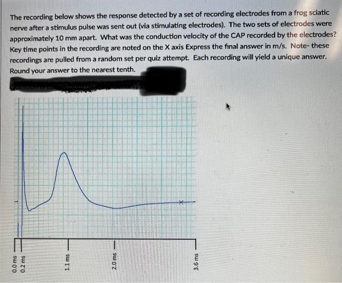 Solved The recording below shows the response detected by a | Chegg.com