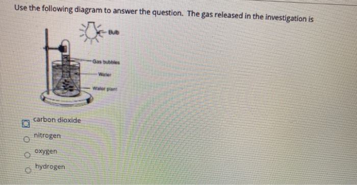 Solved Use the following diagram to answer the question. The | Chegg.com