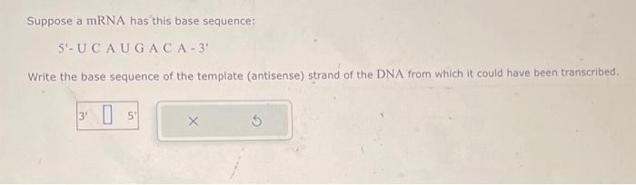 Solved Suppose the template (antisense) strand of some DNA | Chegg.com