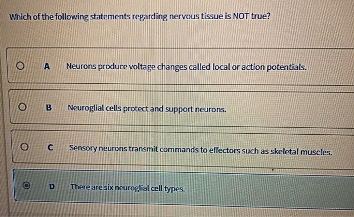 Solved Which of the following statements regarding nervous | Chegg.com