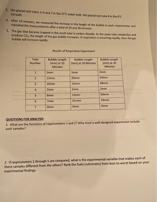 Solved 3. We placed test tubes 1-5 and 7 in the 37°C water | Chegg.com