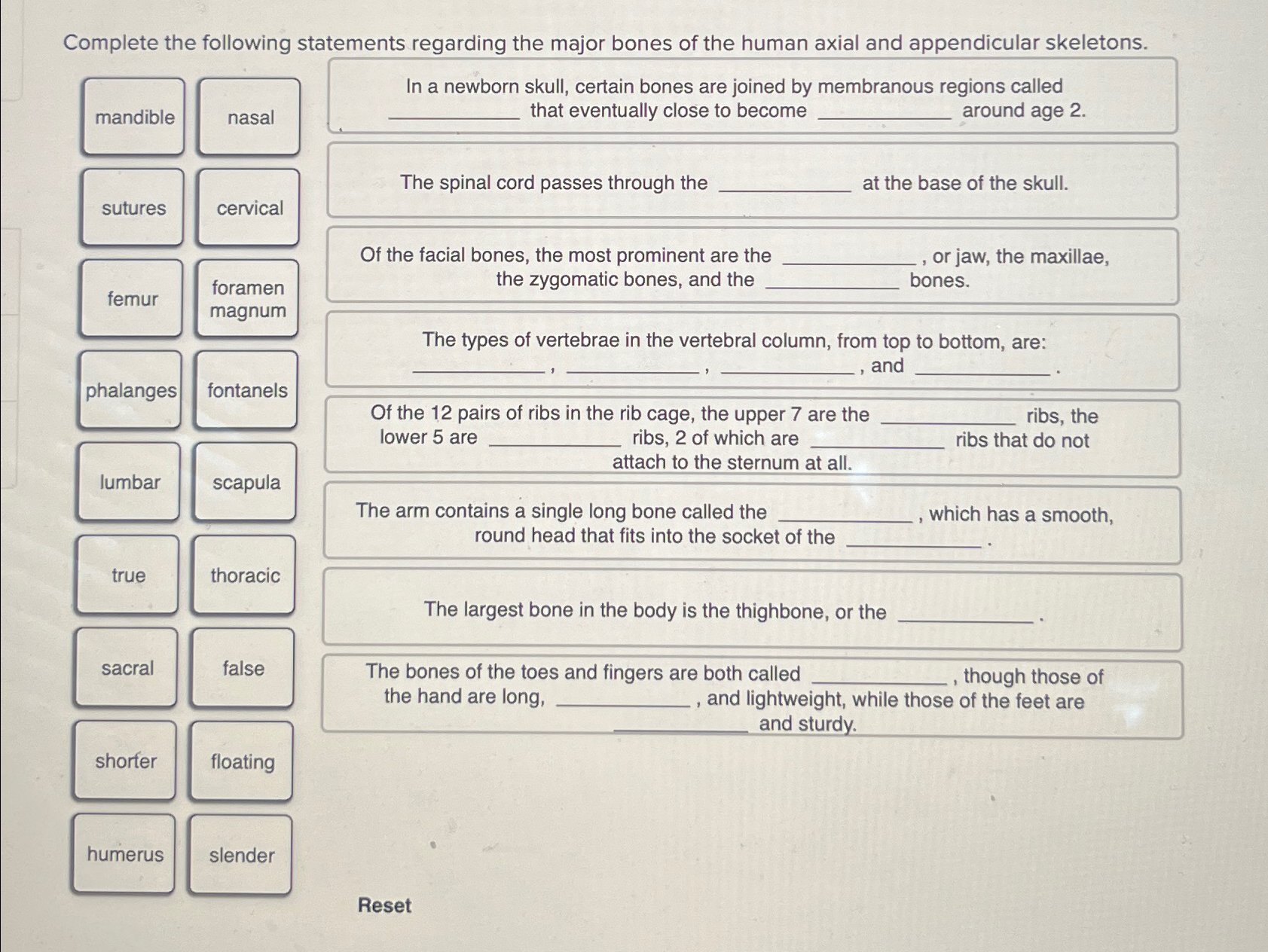 Solved Complete the following statements regarding the major | Chegg.com