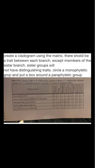 Solved create a cladogram using the matrix. there shoild be | Chegg.com