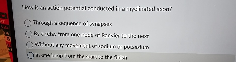 Solved How is an action potential conducted in a myelinated | Chegg.com