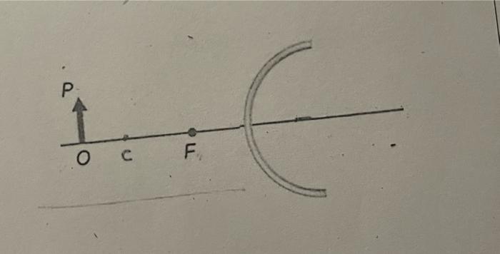 Solved can you draw principal rays for convex mirror for | Chegg.com