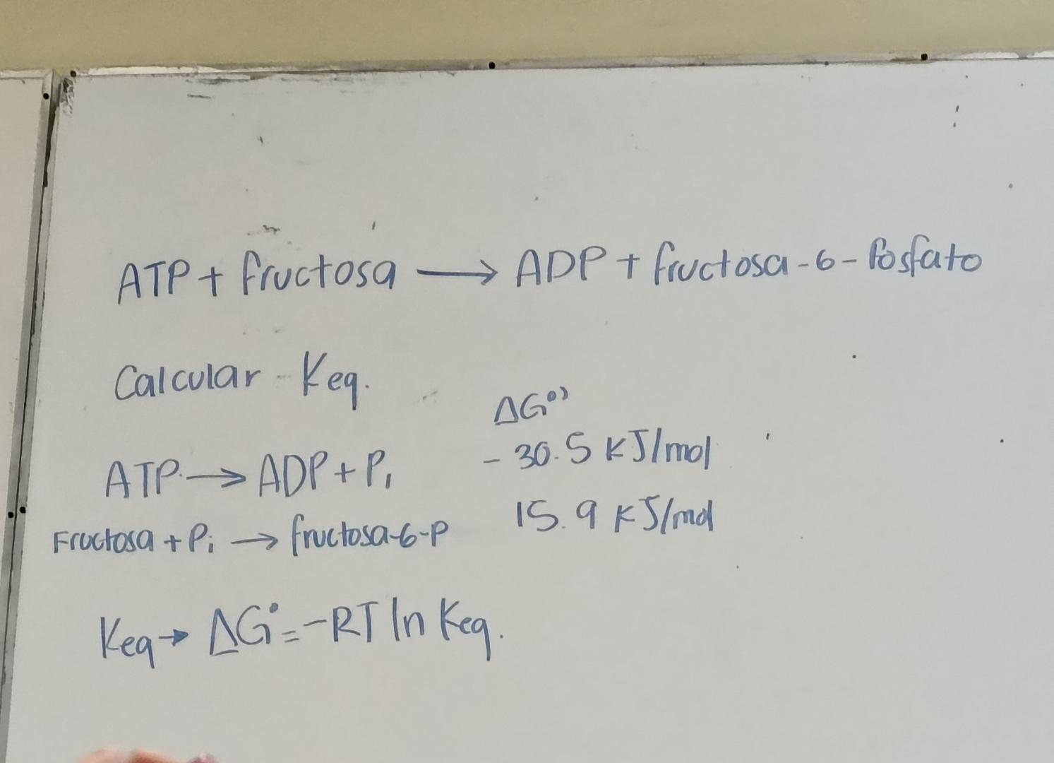 Solved ATP+ ﻿fructosa longrightarrow ADP + | Chegg.com