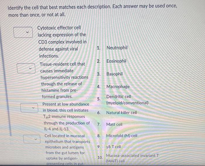 Solved Identify the cell that best matches each description. | Chegg.com