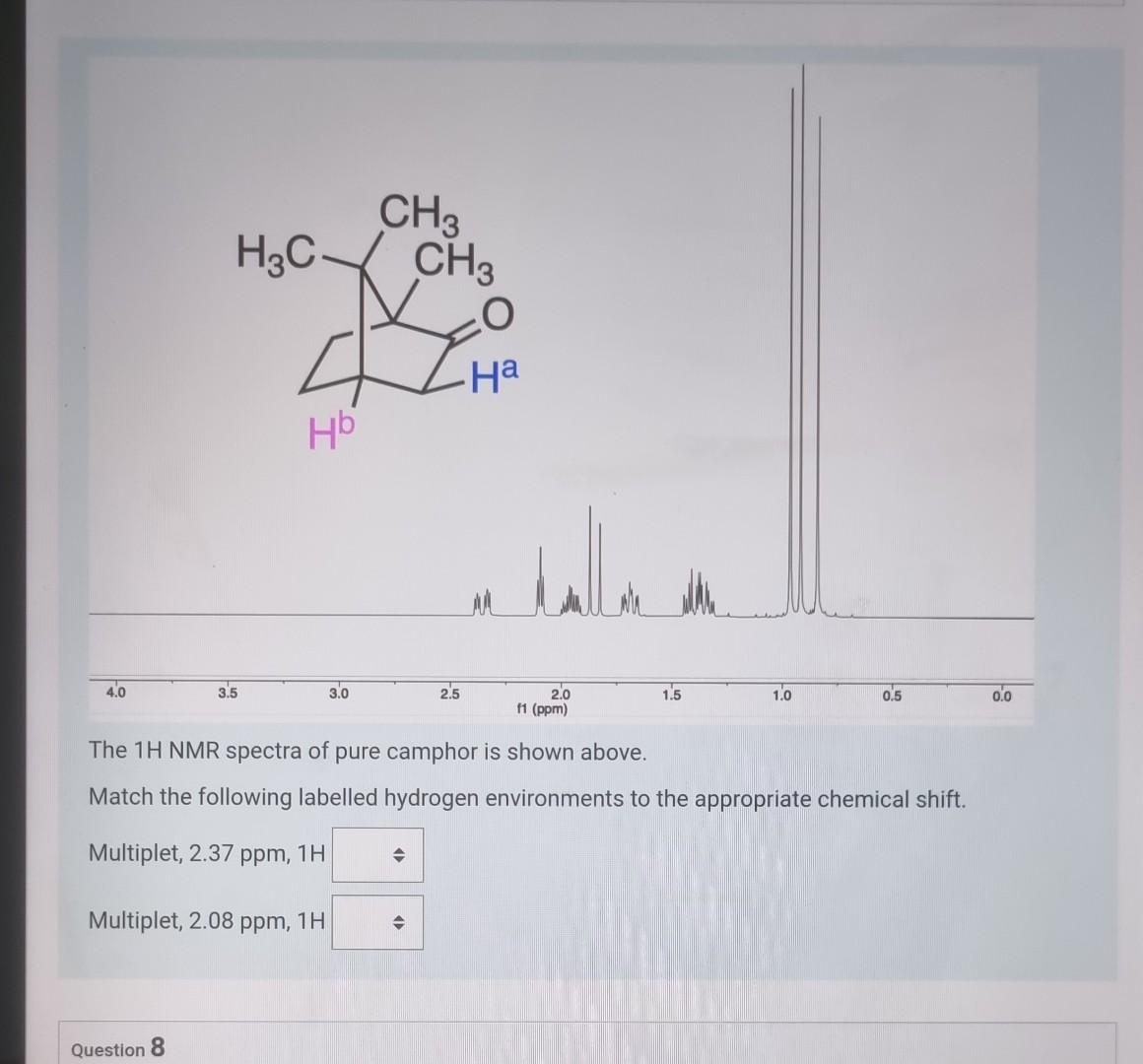 Camphor Nmr Spectrum Camphor Nmr Spectrum