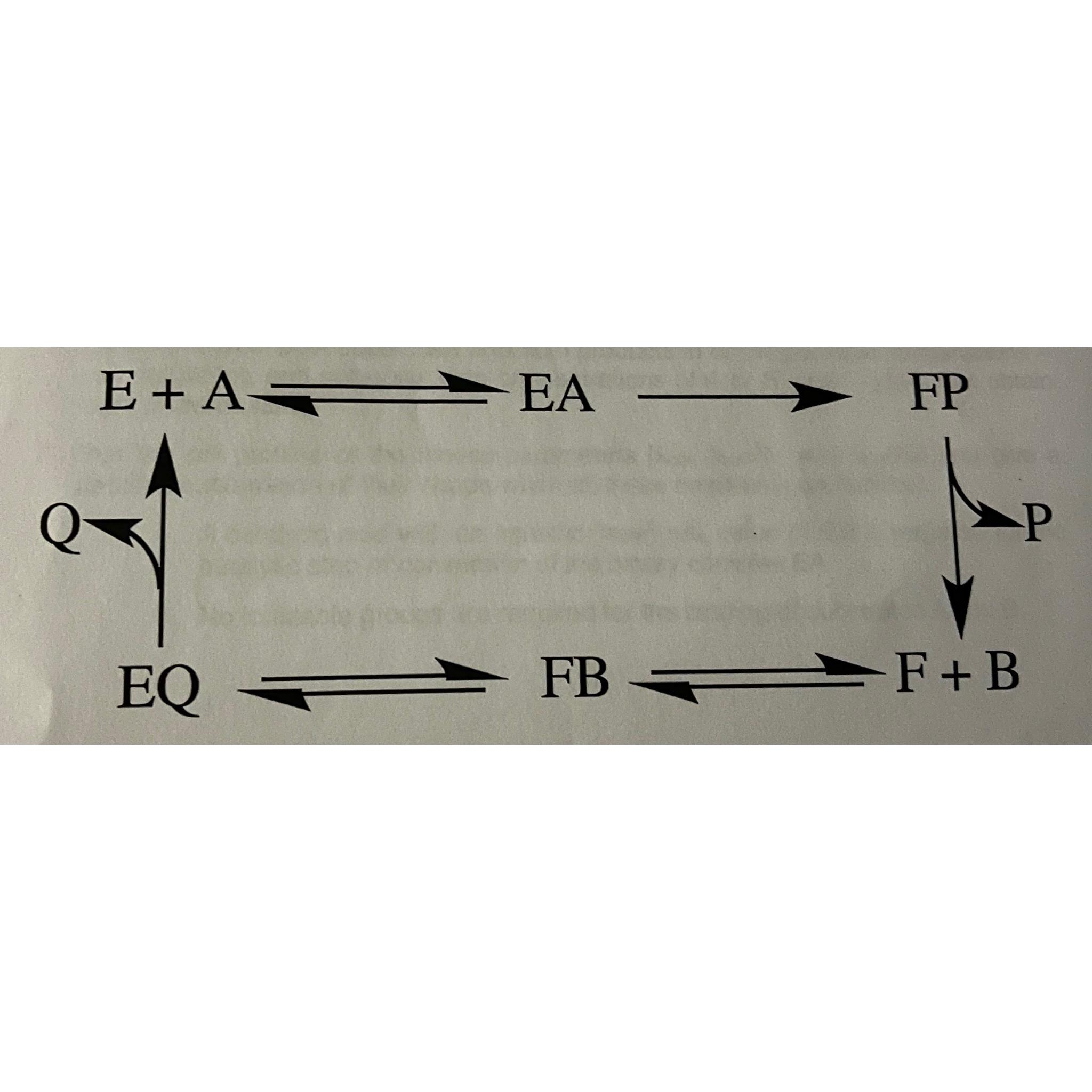 Solved Steady-state kinetics mechanism. Discuss the | Chegg.com