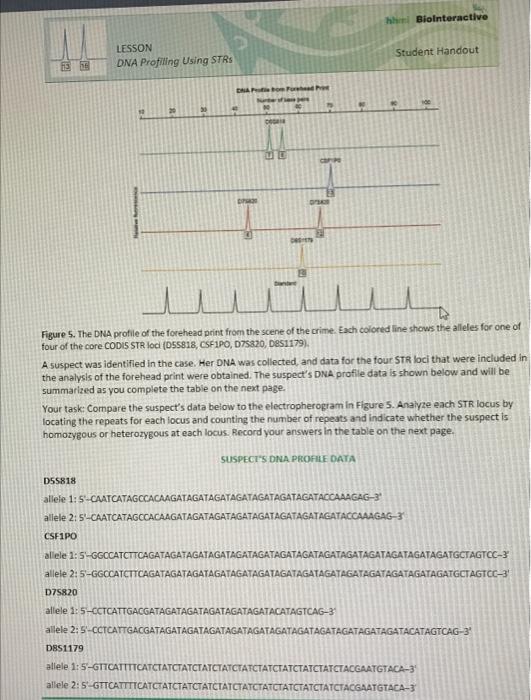 12 Compare The Suspects Dna Profile The