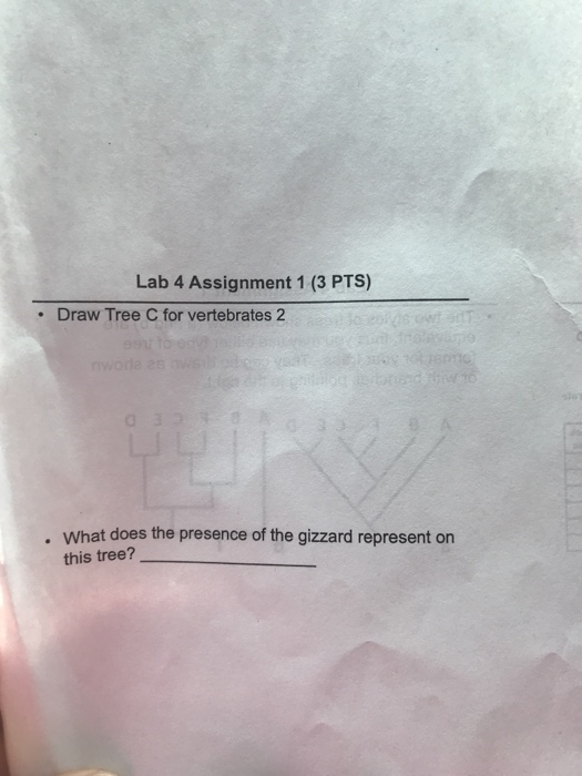 Lab 4 Assignment 1 The two styles of trees shown | Chegg.com