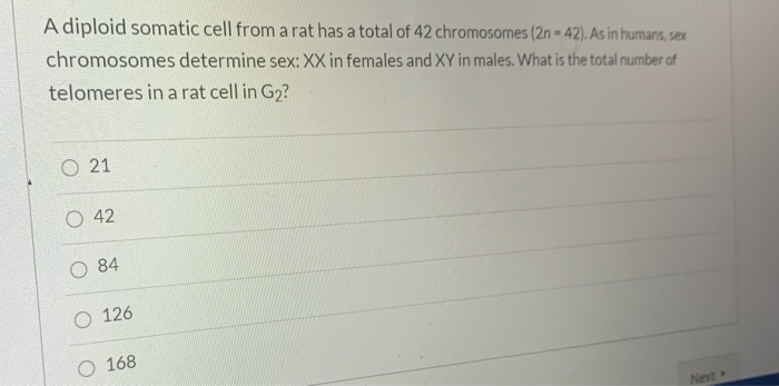 Solved A diploid somatic cell from a rat has a total of 42 | Chegg.com