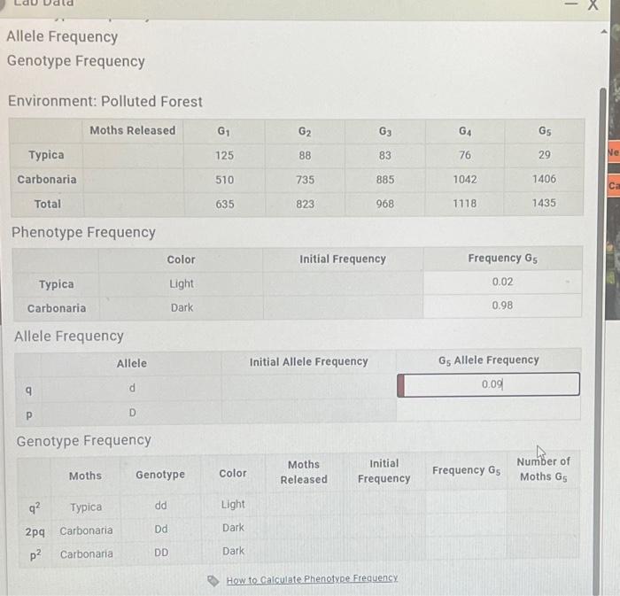 Solved Allele Frequency Genotype Frequency Environment: | Chegg.com
