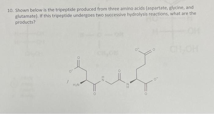 Solved 10. Shown below is the tripeptide produced from three | Chegg.com