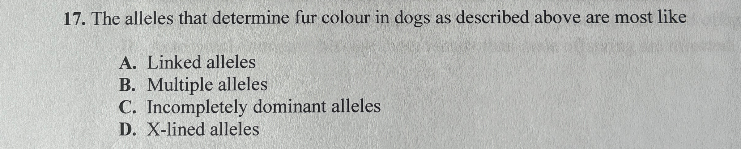 Solved The alleles that determine fur colour in dogs as | Chegg.com