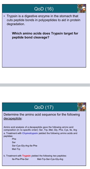 Solved QoD (16) Trypsin is a digestive enzyme in the stomach | Chegg.com