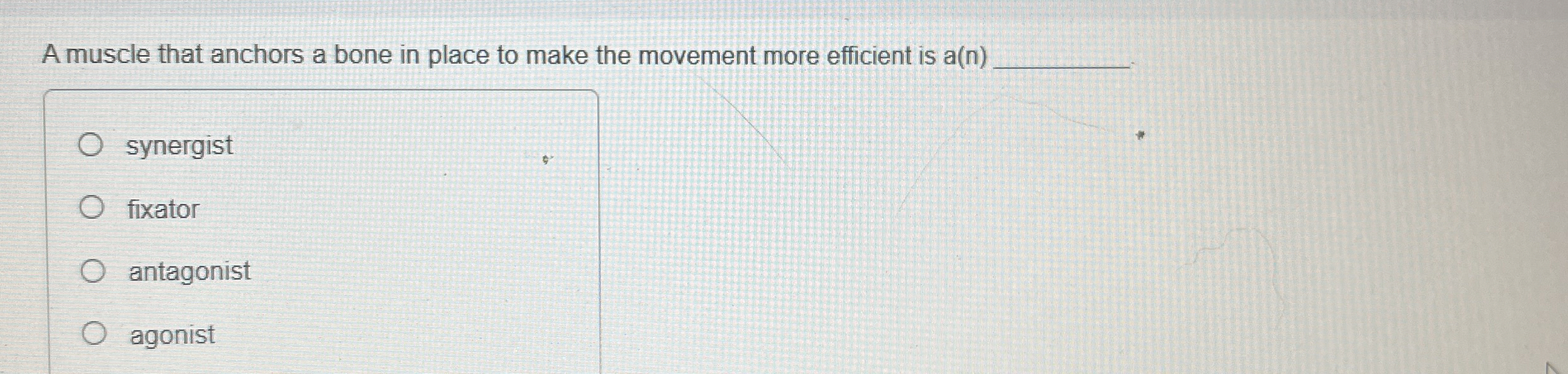 Solved A muscle that anchors a bone in place to make the | Chegg.com