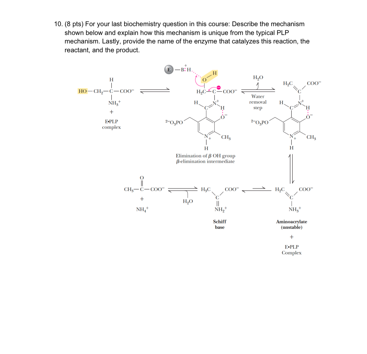 Solved (8 ﻿pts) ﻿For your last biochemistry question in this | Chegg.com