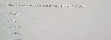 Solved Which codon would recognize the following anticodon: | Chegg.com
