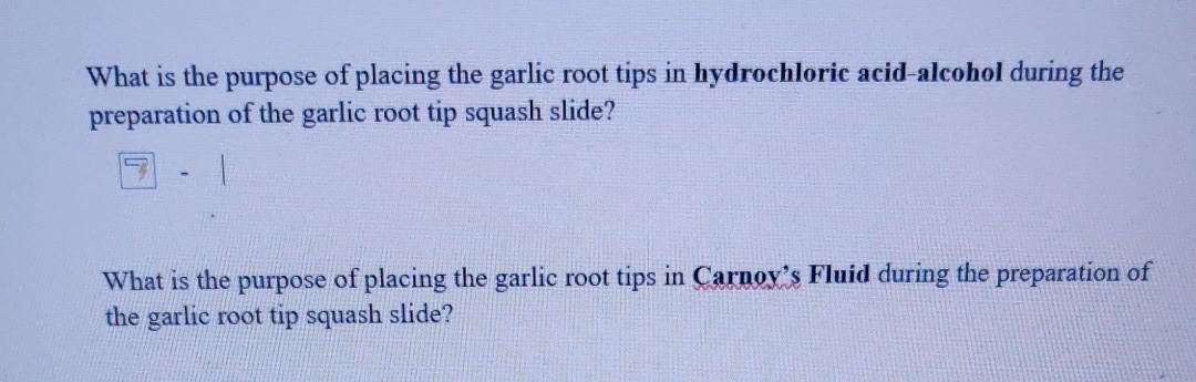Solved What is the purpose of placing the garlic root tips | Chegg.com