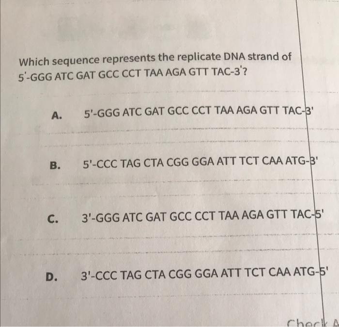 Solved Which sequence represents the replicate DNA strand of | Chegg.com