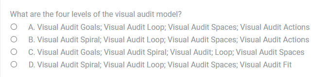 Solved What are the four levels of the visual audit model?A. | Chegg.com
