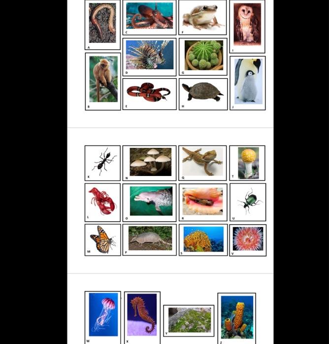 Salect three organiams trom those provided and | Chegg.com