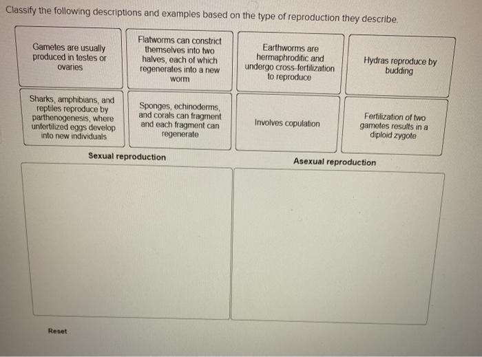 Solved Classify the following descriptions and examples | Chegg.com