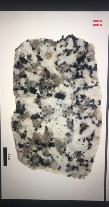 Solved Short assignment: Four igneous rock samples (i-iv) | Chegg.com