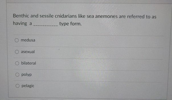Solved Benthic and sessile cnidarians like sea anemones are | Chegg.com