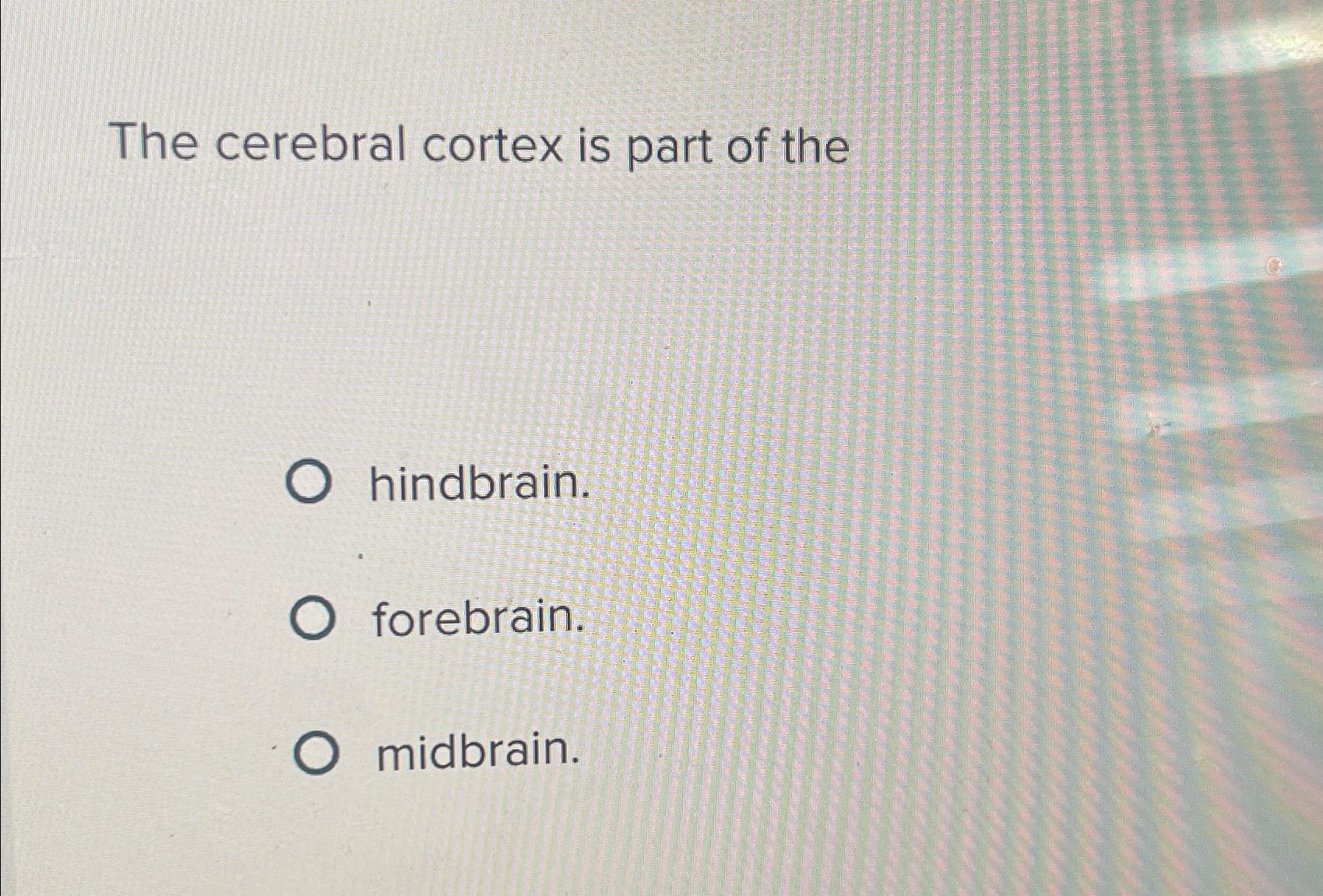 Solved The cerebral cortex is part of | Chegg.com