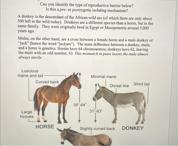 Solved Activity: Identifying Mechanisms of Reproductive | Chegg.com