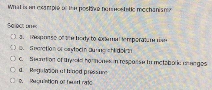Solved What is an example of the positive homeostatic | Chegg.com