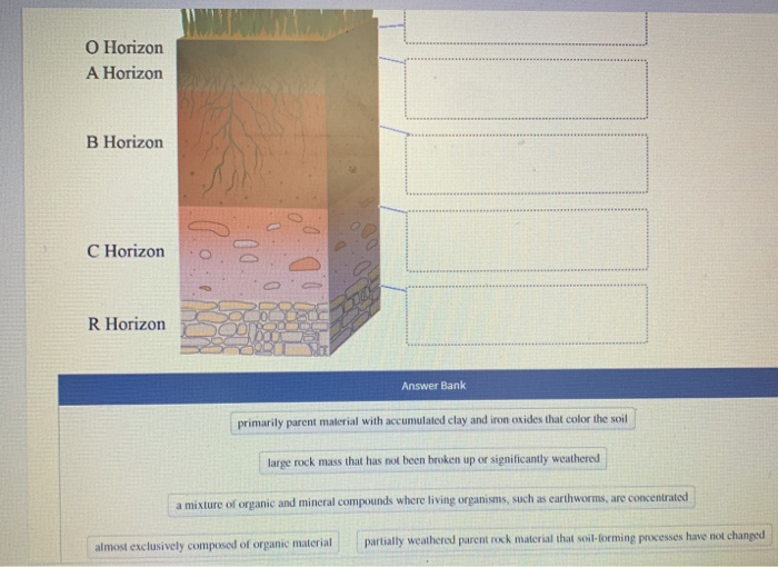 Solved The image shows a soil profile. Match each of the | Chegg.com