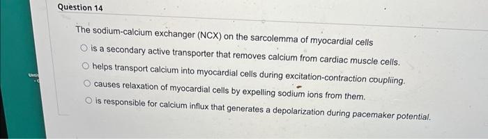The sodium-calcium exchanger ( NCX) on the sarcolemma | Chegg.com