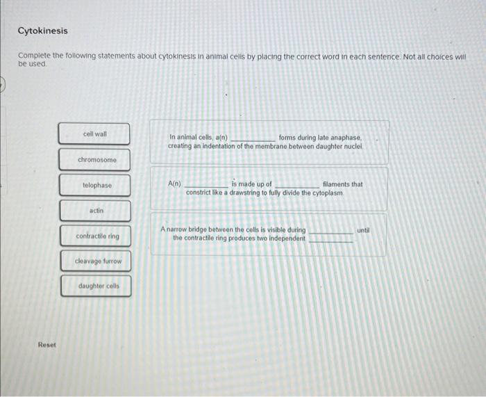 Solved Compiete the following statements about cytokinesis | Chegg.com