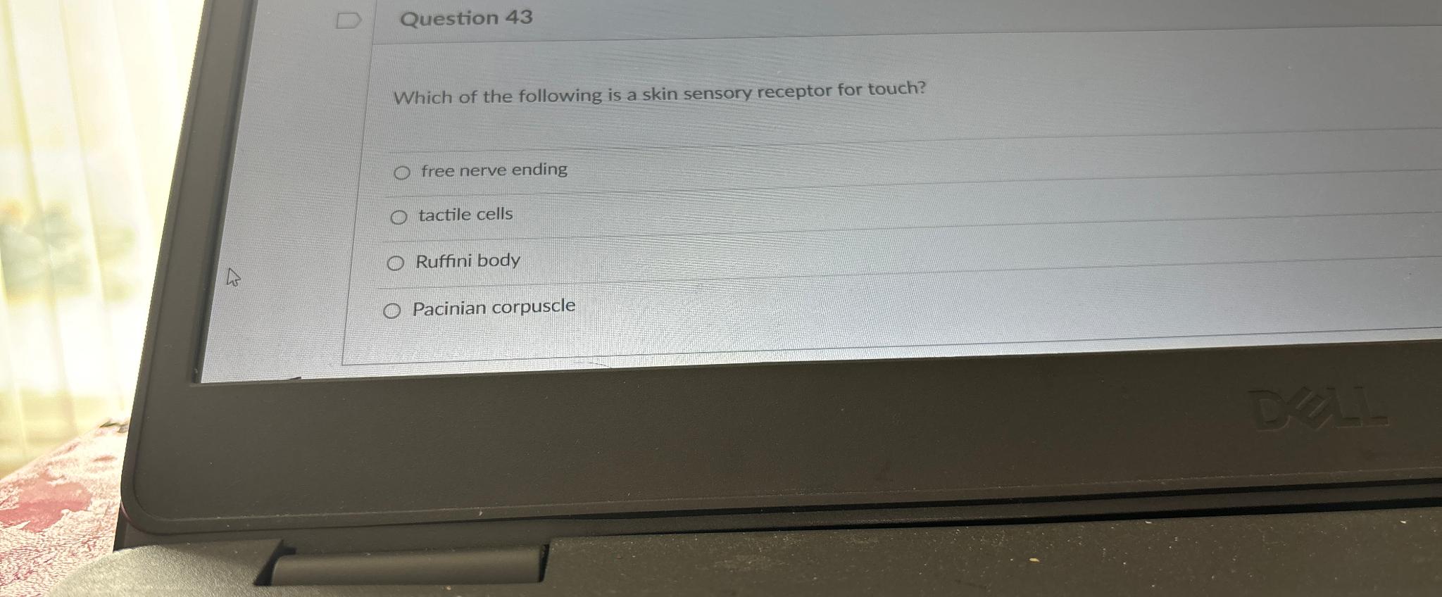 Solved Question 43Which of the following is a skin sensory | Chegg.com