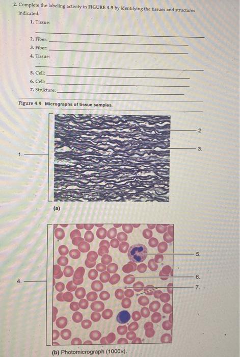 Solved 2. Complete the labeling activity in FGURE 4.9 by | Chegg.com