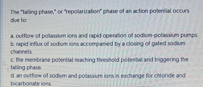 Solved The "falling phase," or "repolarization" phase of an | Chegg.com