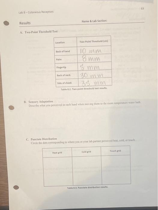Lab 8 - Cutaneous Receptors Results Name & Lab | Chegg.com