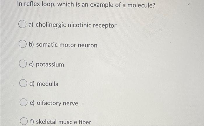 Solved In reflex loop, which is an example of a molecule? > | Chegg.com