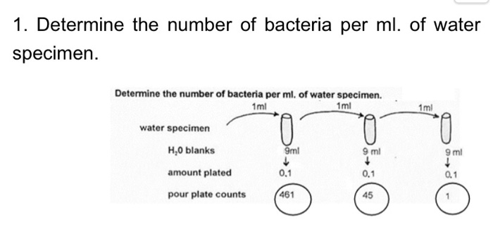 Solved 1. Determine the number of bacteria per ml. of water | Chegg.com