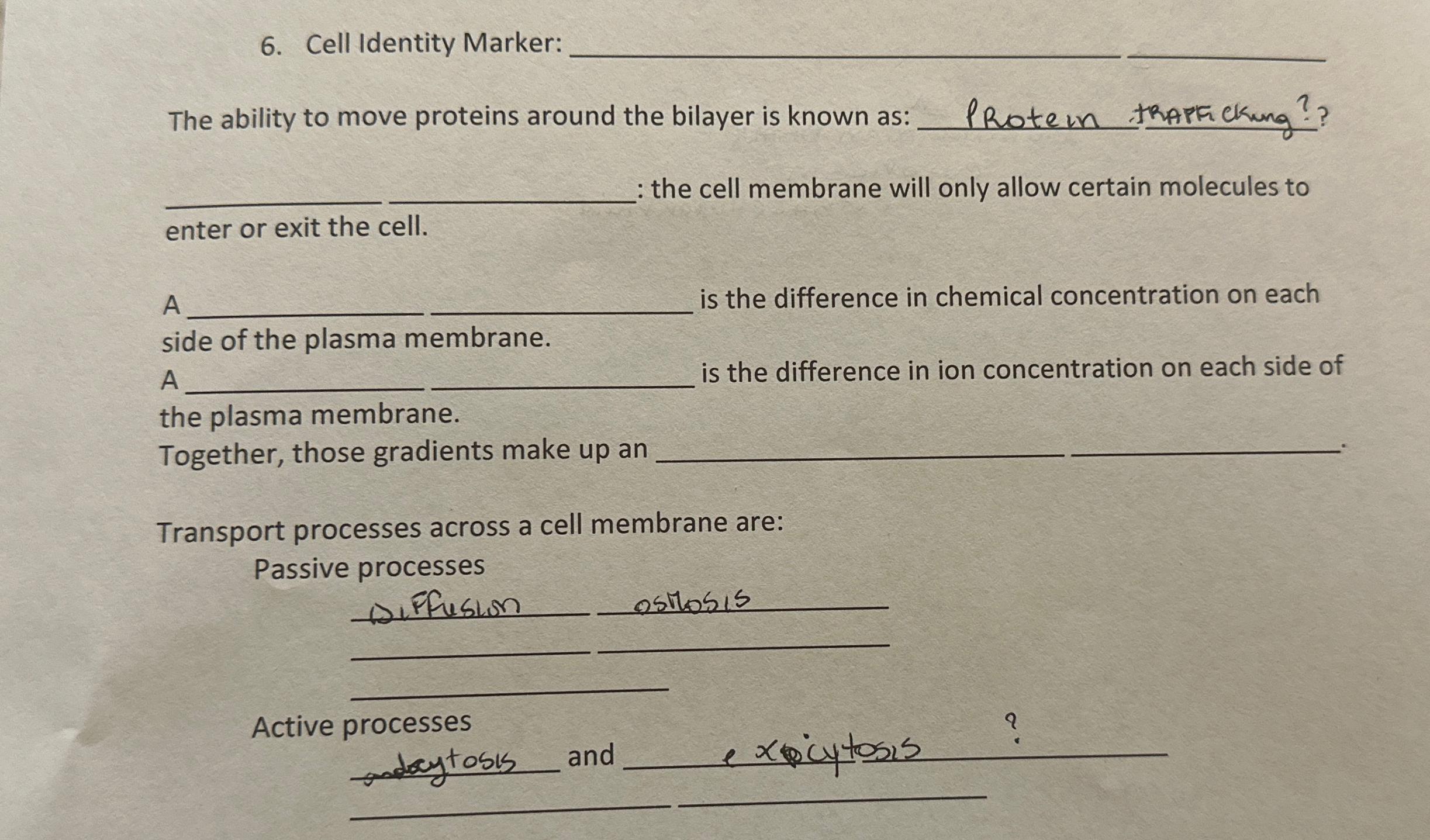 Solved Cell Identity Marker:The ability to move proteins | Chegg.com