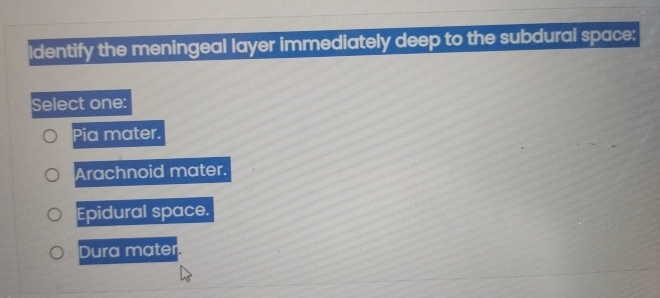 Solved Identify the meningeal layer immediately deep to the | Chegg.com