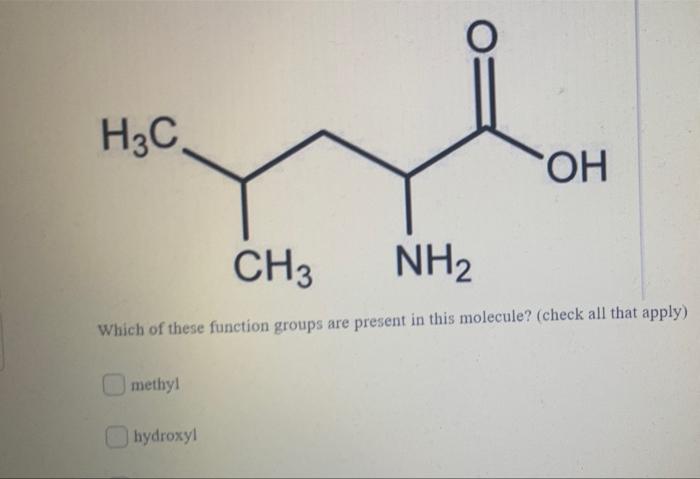 Solved H3C ОН CH3 NH2 Which of these function groups are | Chegg.com