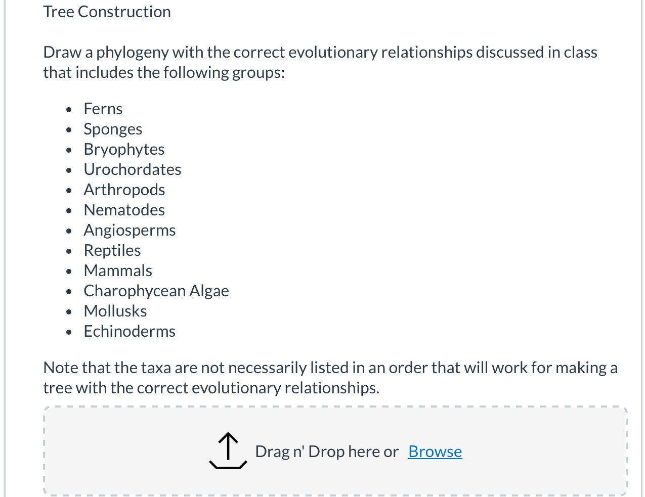 Solved Tree Construction Draw a phylogeny with the correct | Chegg.com
